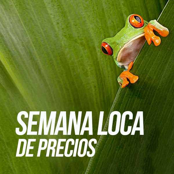 Semana Loca, comprá ahora en cuotas y viajá cuando quieras! | almundo.com